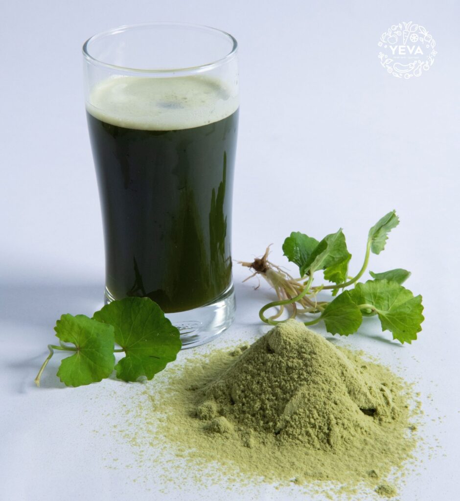 Centella asiatica Powder – Bluelotusfarm